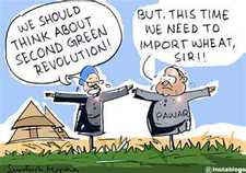 Stop MNREGA for ONE year and let's kickoff Second Green Revolution ...